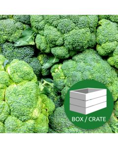 Friarielli | Neapolitan Broccoli