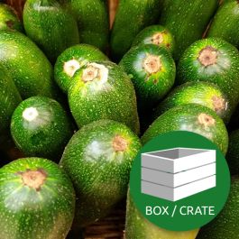 Fresh Courgettes | Buy fresh Salad | Vegetables | Herbs and Fruits